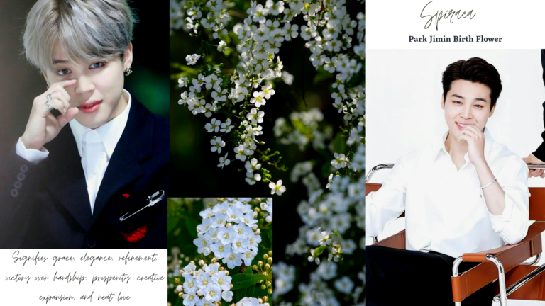 The Birth Flower of Each BTS Member | The Korean Hanami