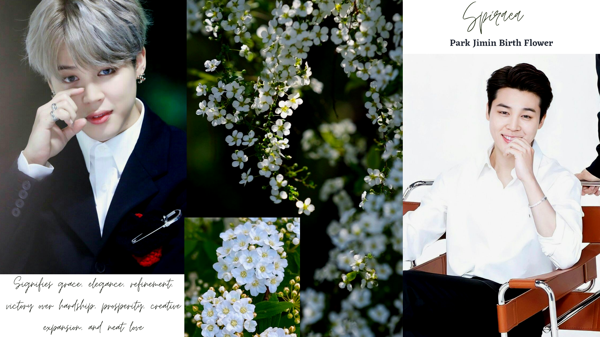 The Birth Flower of Each BTS Member | The Korean Hanami