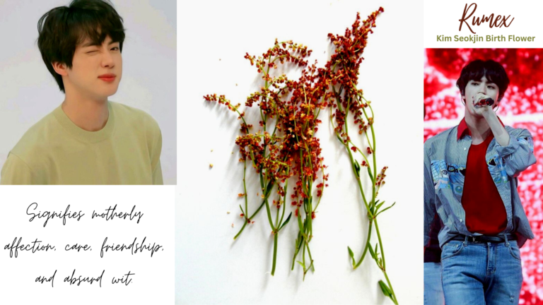 The Birth Flower of Each BTS Member | The Korean Hanami